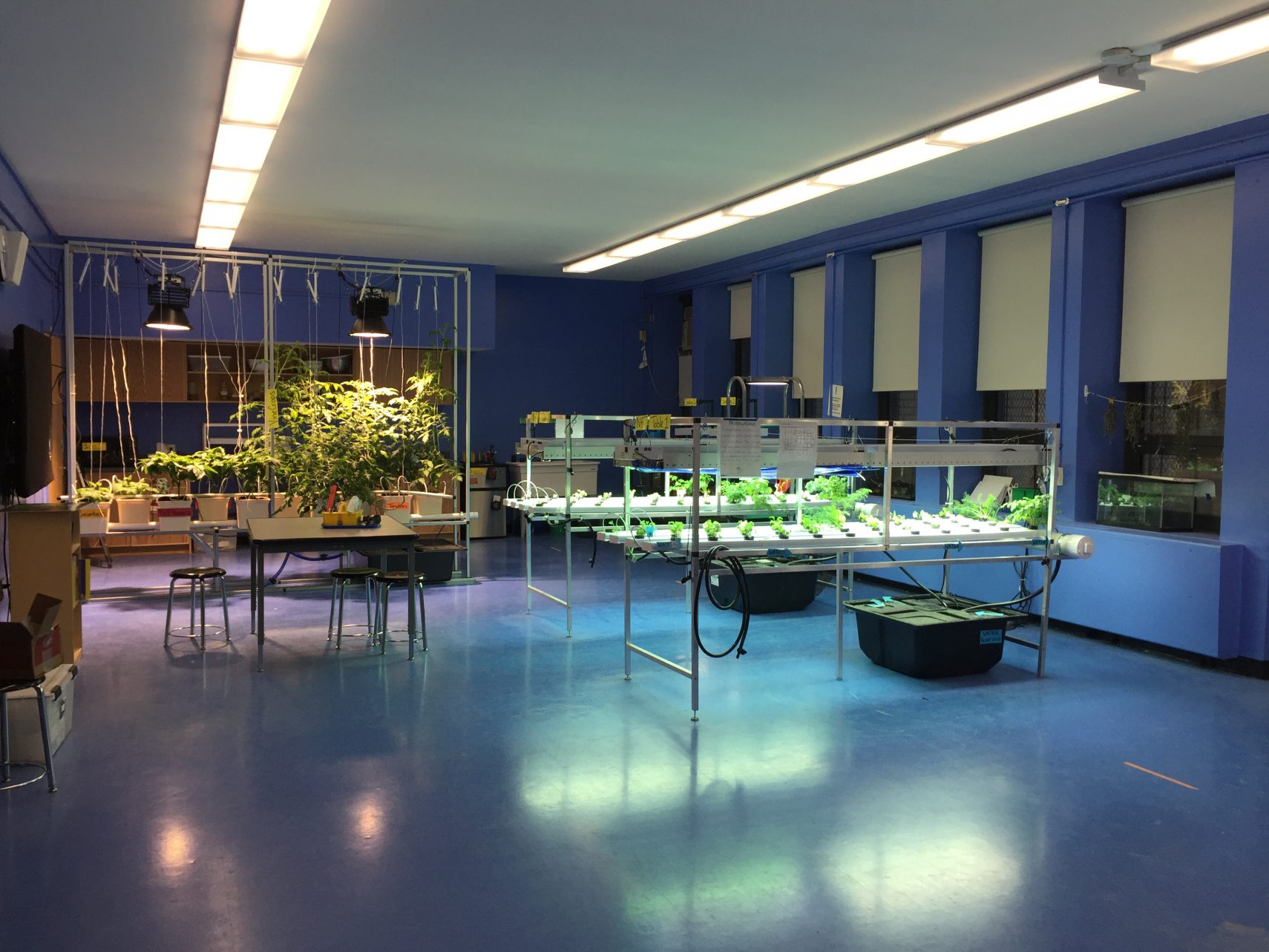 NYSW welcomes new school partners and celebrates 86 labs built across ...