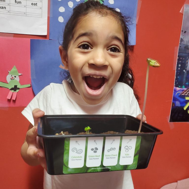 The Results Are In: Our Hydroponic STEM Kits Are A Powerful Hands-On ...