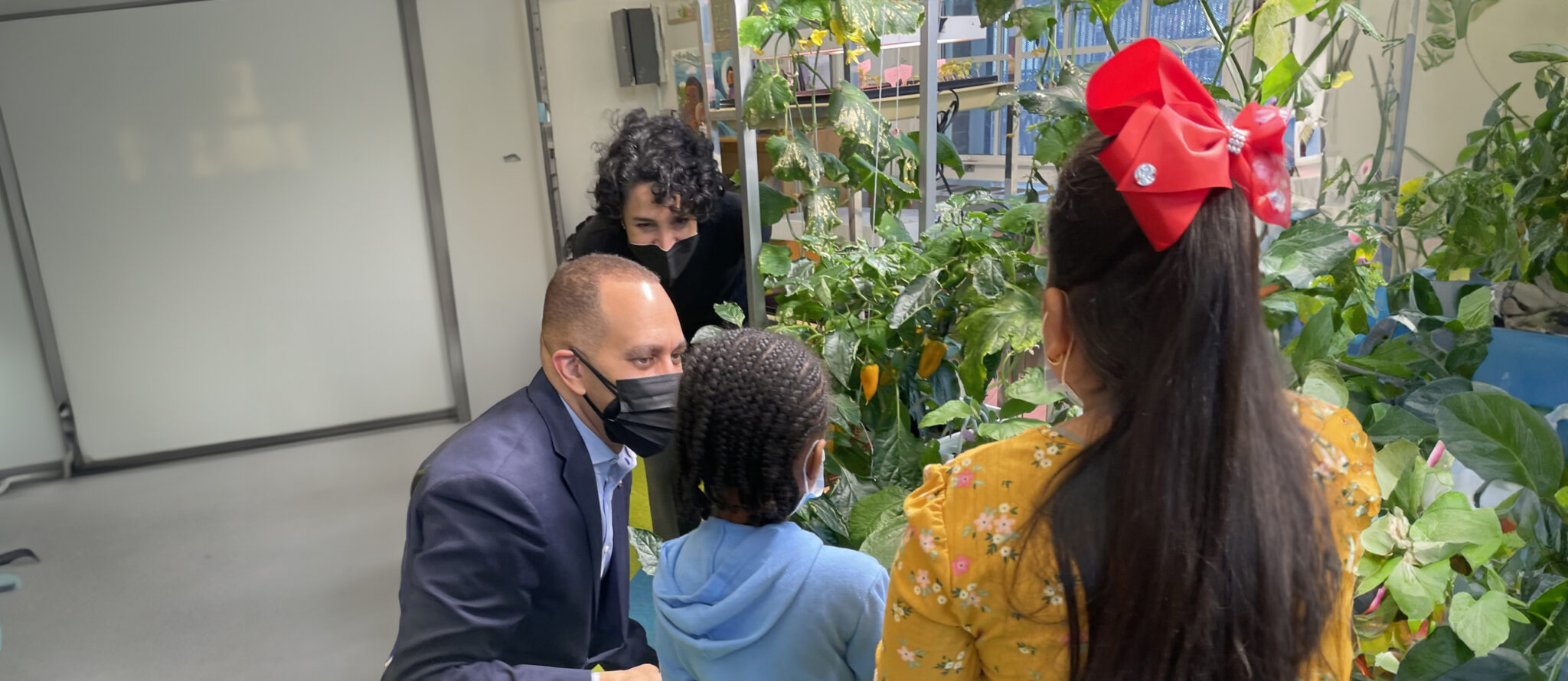 PS 158 in Brooklyn Unveils NY Sun Works Hydroponic Farm Classroom with ...