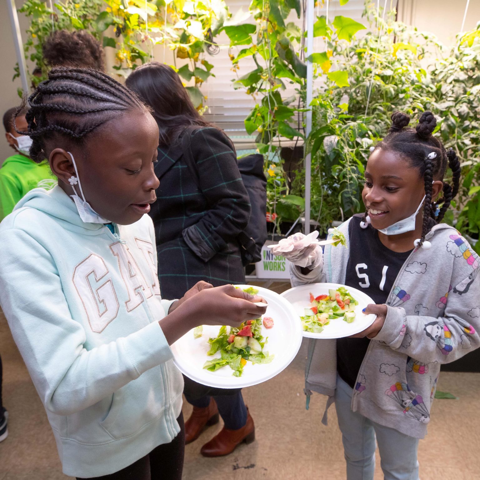 NY Power Authority and HANAC Cornerstone Celebrate New Hydroponic Lab ...