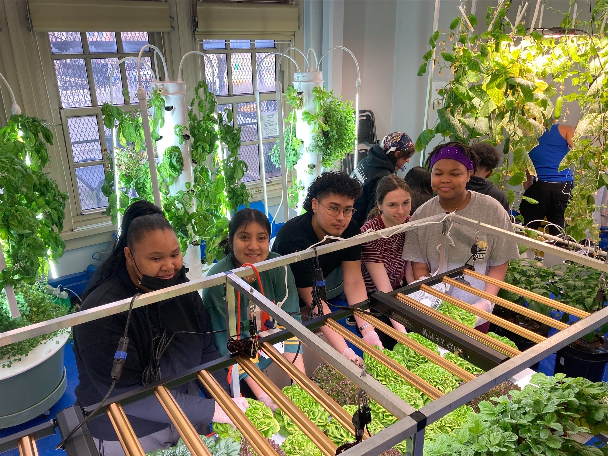 50 New Hydroponic Labs to Finish Construction This Summer! — New York ...