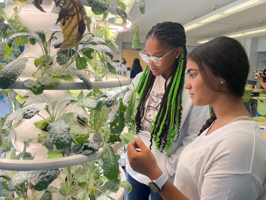 The Importance of Climate Education, 365 Days a Year — New York Sun Works