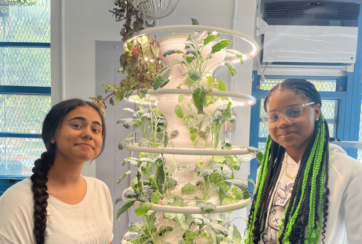 Tackling Energy on the First Official New York City DOE Climate Action ...