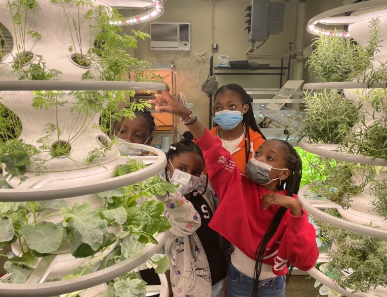 NYCFoodPolicy: A Non-Profit Paves the Way for Sustainable Indoor Urban ...
