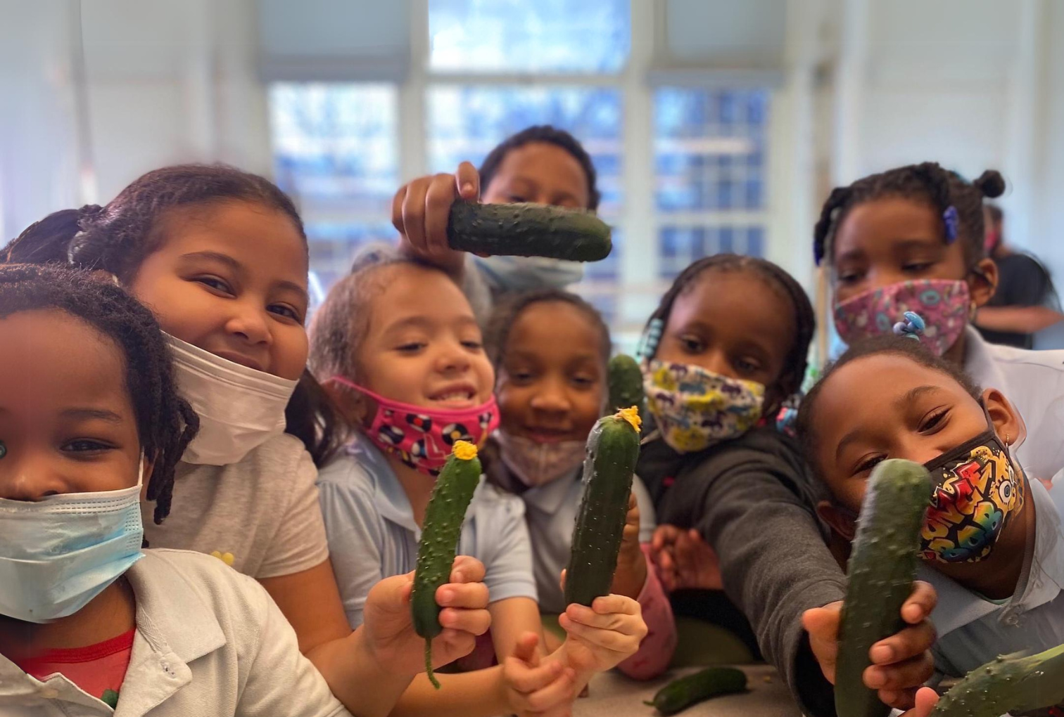 Harvest Program — New York Sun Works