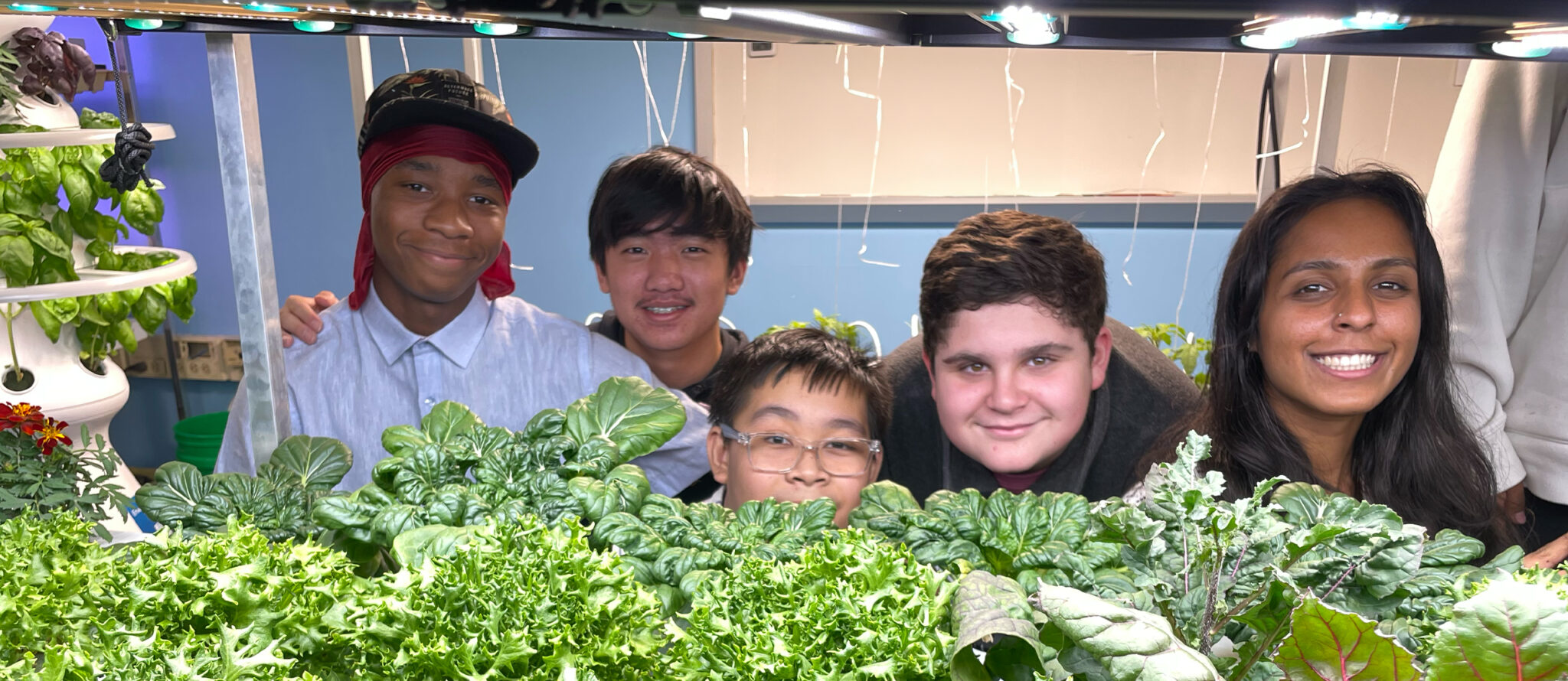 Learning Center — New York Sun Works