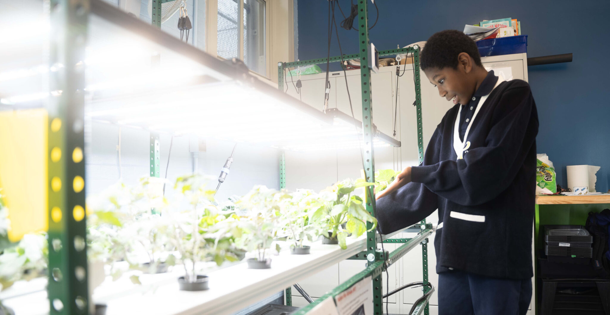 35 New Hydroponic Classrooms Open on the First Day of School in NYC ...