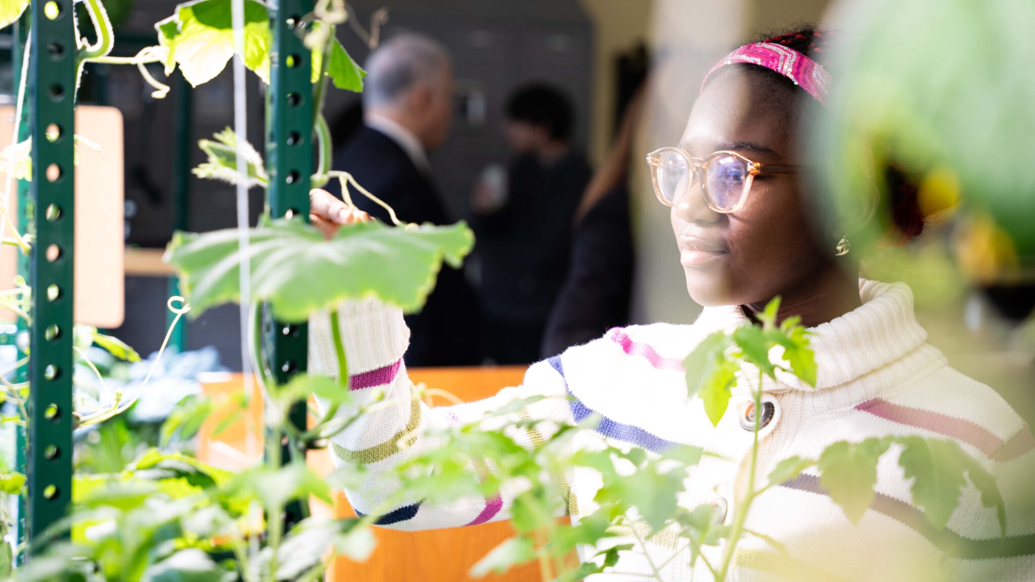 LIC: Long Island City School Celebrates Launch of Hydroponic Farm for ...
