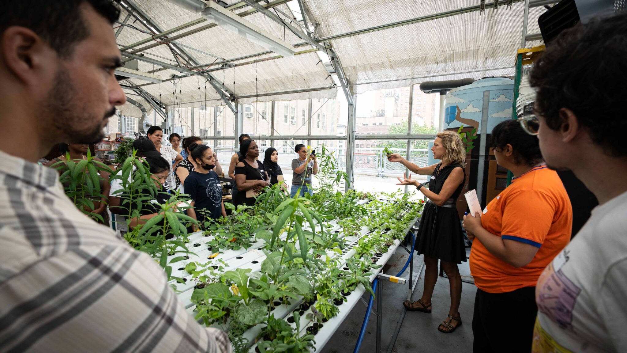 Teacher Training and Program Implementation — New York Sun Works